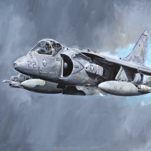 AV-8B Harrier II | Limited Edition Print | Jet Art Gallery